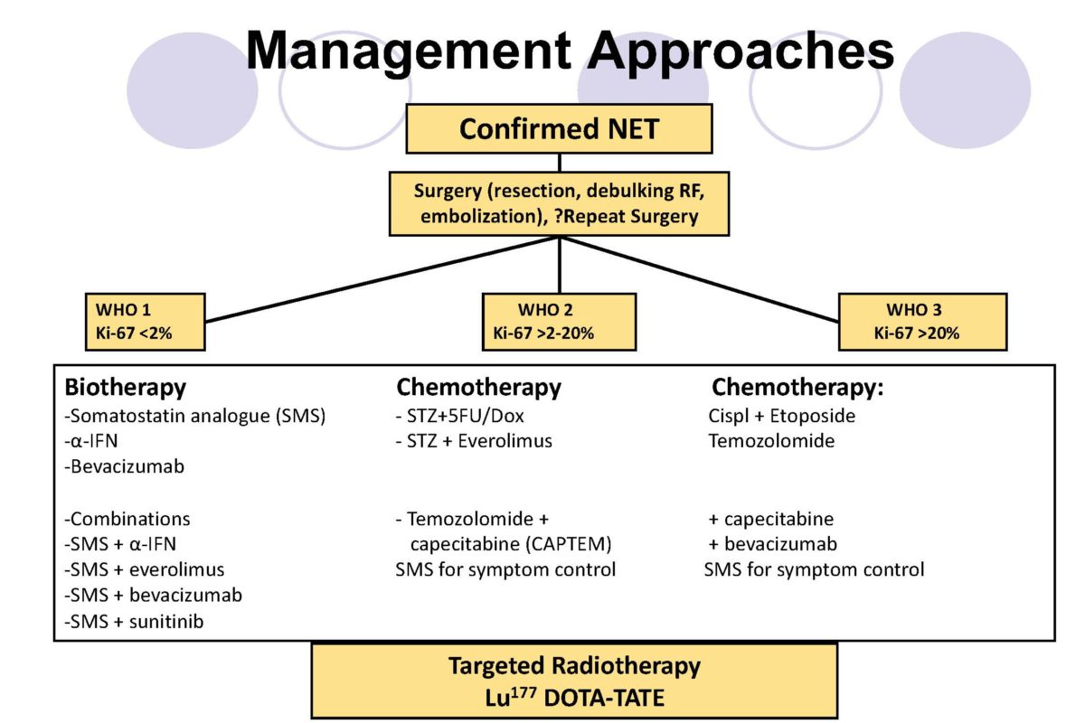 NET TREATMENTS - CNETS